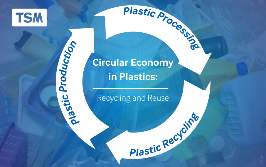 Plastics in a Circular Economy: From Waste to Resource